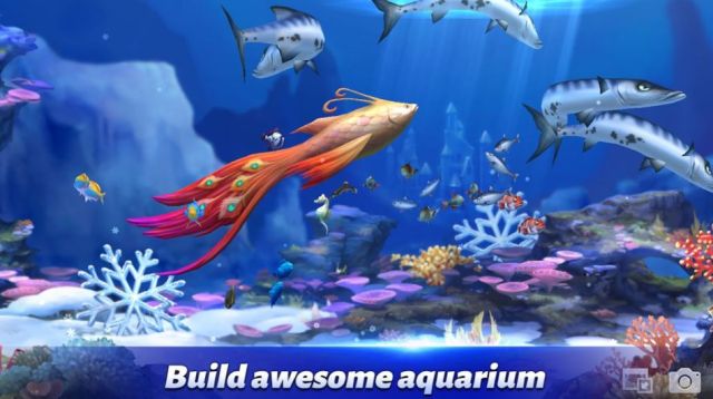 FishIsland: Fishing Paradise Cheats: Tips & Guide to Catch the Best ...