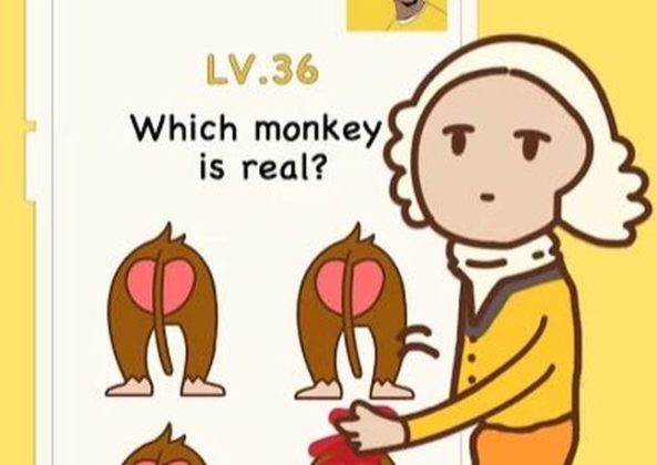 Brain Boom Answers: Level 176 – Level 183 - Touch, Tap, Play