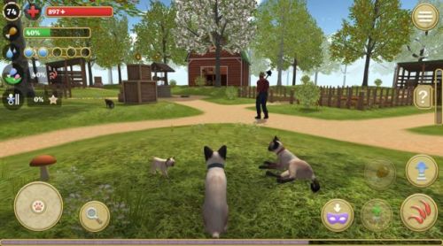 Cat Simulator 2020: All Cats in the Game & How to Get Them - Touch, Tap ...