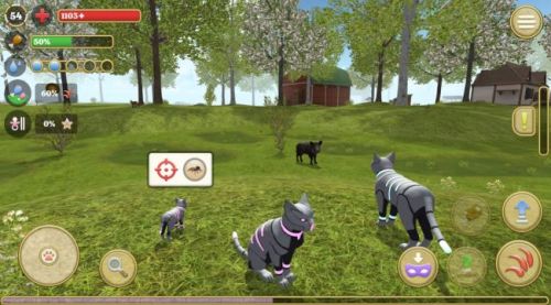 Cat Simulator 2020 Cheats: Tips & Guide to Be a Better Cat - Touch, Tap ...