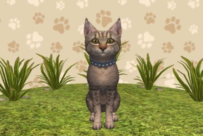 Cat Simulator 2020: All Cats in the Game & How to Get Them - Touch, Tap ...