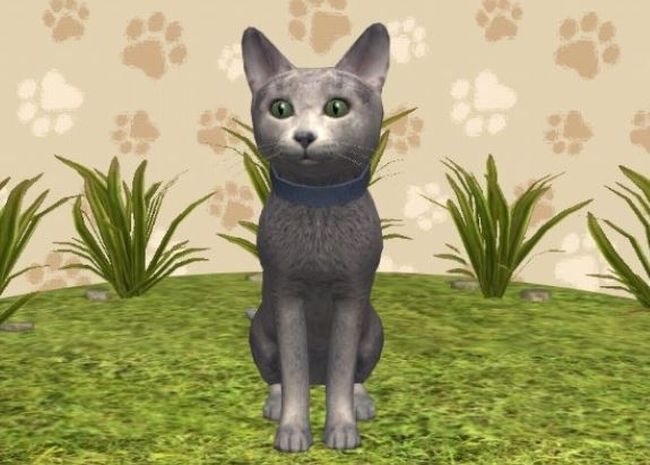 Cat Simulator 2020: All Cats in the Game & How to Get Them - Touch, Tap ...