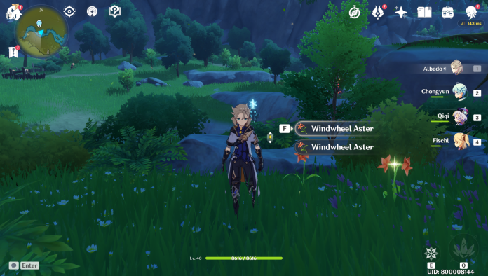 Windwheel Aster Location in Genshin Impact - Touch, Tap, Play