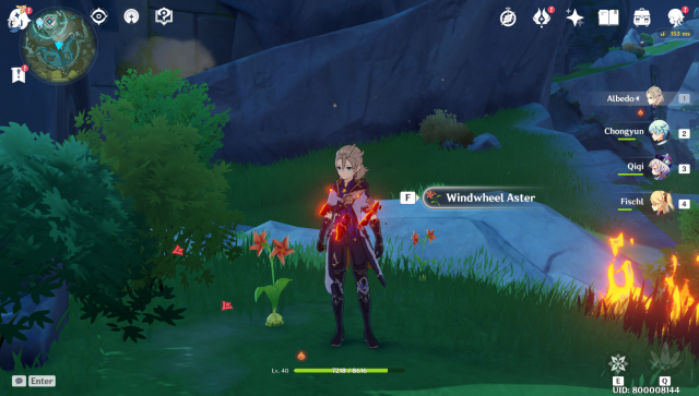 Windwheel Aster Location in Genshin Impact - Touch, Tap, Play