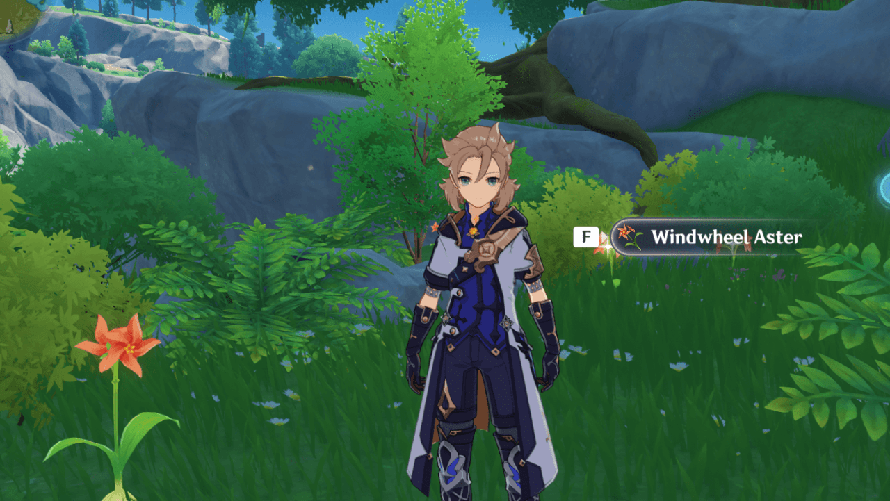 Where to find Windwheel Aster in Genshin Impact - Touch, Tap, Play