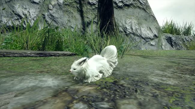 How To Get Hunting Helper Award In Monster Hunter Rise - Touch, Tap, Play