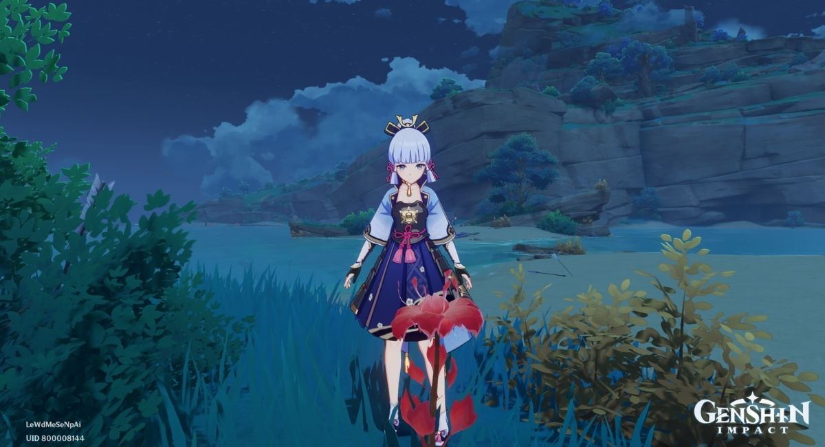 Genshin Impact Crystal Marrow Location Guide: Where to Find Crystal ...