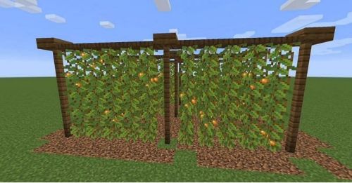 Minecraft Glow Berries: How to Find and Use Them - Touch, Tap, Play