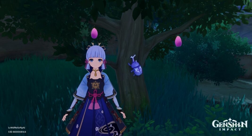Genshin Impact Onikabuto Location and Uses Guide: Tips and Cheats ...