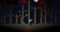 Terraria: How to Get a Moon Shell - Touch, Tap, Play