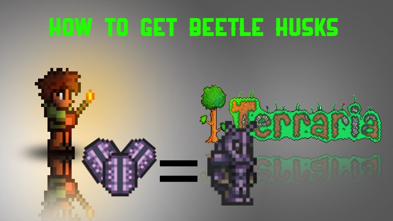How to get Beetle Husk in Terraria - Touch, Tap, Play