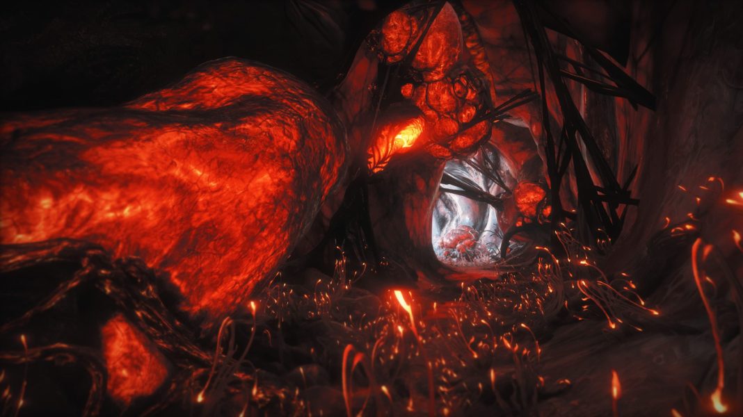 How to Get the Medjay Predasite Tag in Warframe - Touch, Tap, Play