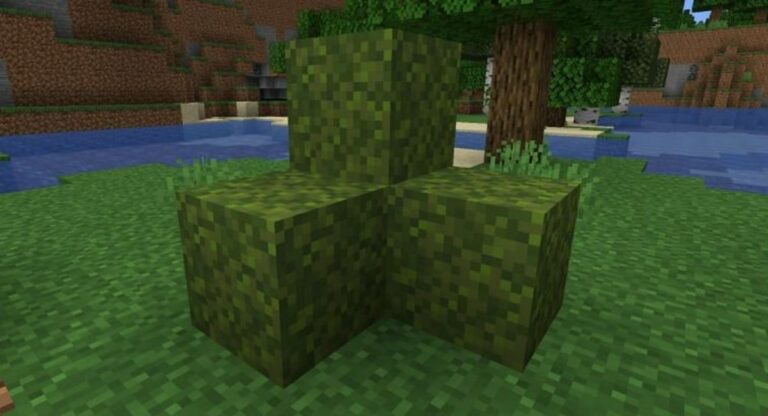 How to Get a Moss Block in Minecraft - Touch, Tap, Play