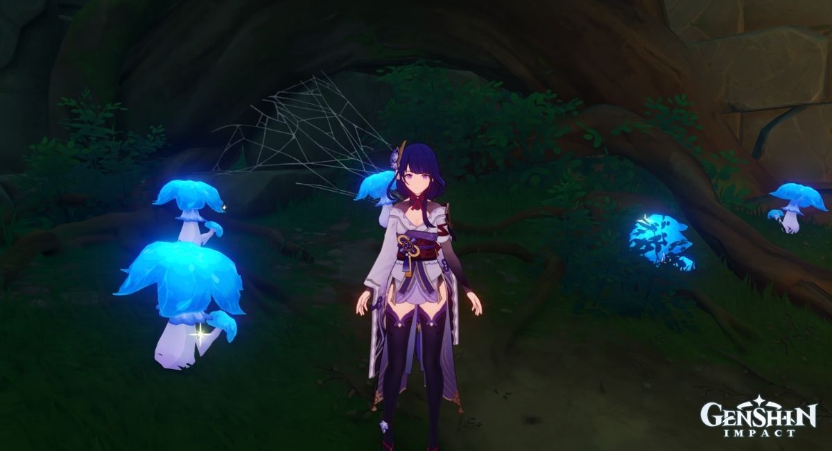 Genshin Impact Fluorescent Fungus Location Guide | Where to Find Fluorescent Fungus - Touch, Tap ...