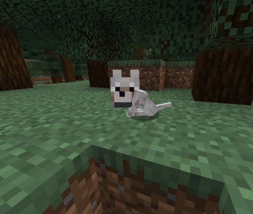 How To Breed Wolves In Minecraft - Touch, Tap, Play