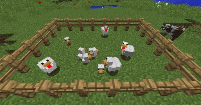 How to Breed Chickens in Minecraft - Touch, Tap, Play