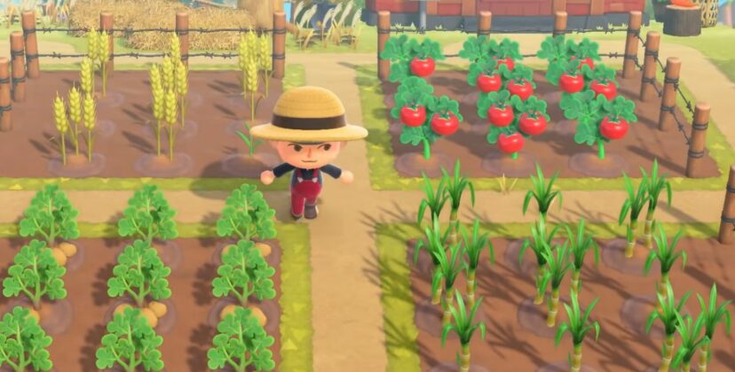 How to Grow Vegetables in Animal Crossing: New Horizons - Touch, Tap, Play