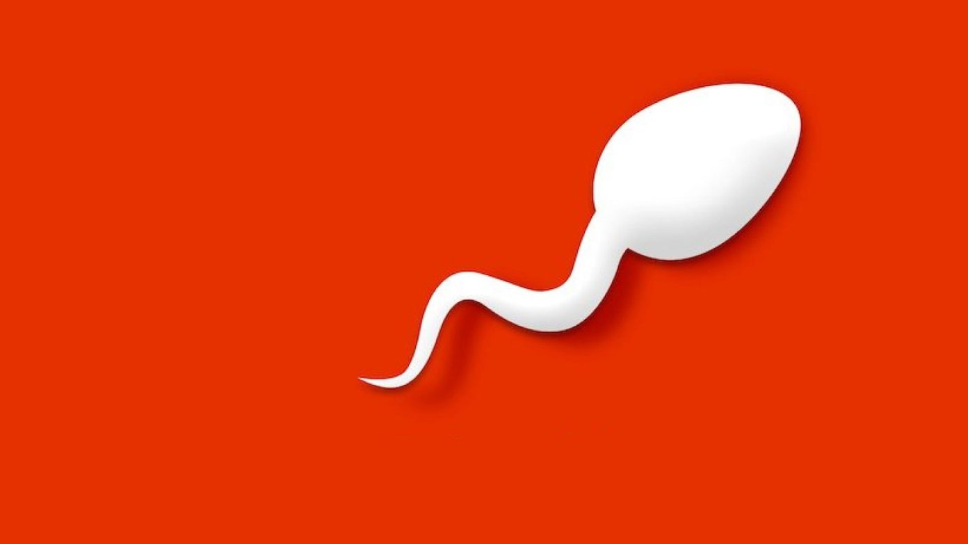 How to Play Bitlife on PC: Bluestacks Guide - Touch, Tap, Play