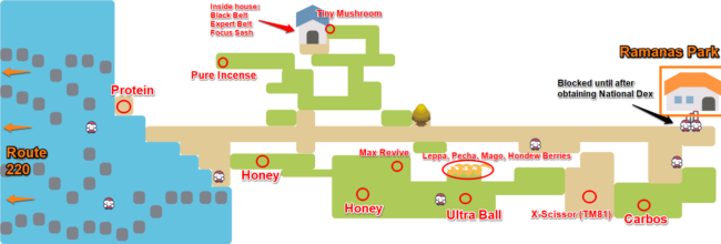 How to Get Max Revives in Pokemon Brilliant Diamond and Shining Pearl ...