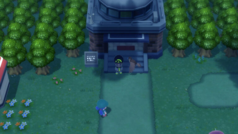 Where to Find the Great Marsh in Pokemon Brilliant Diamond and Shining ...