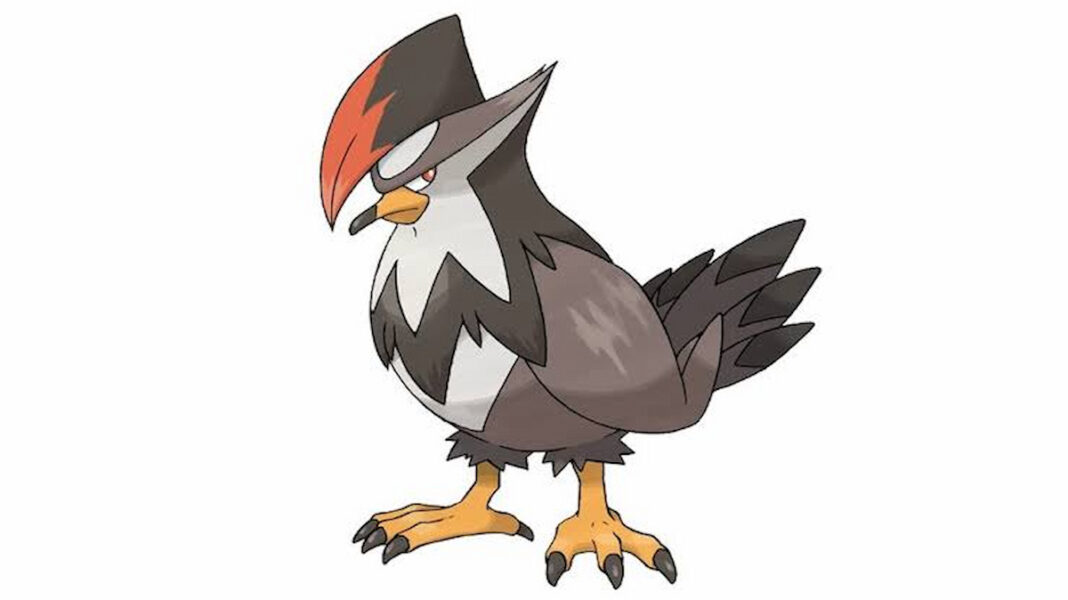 What Level Does Staravia Evolve in Pokemon Brilliant Diamond and ...