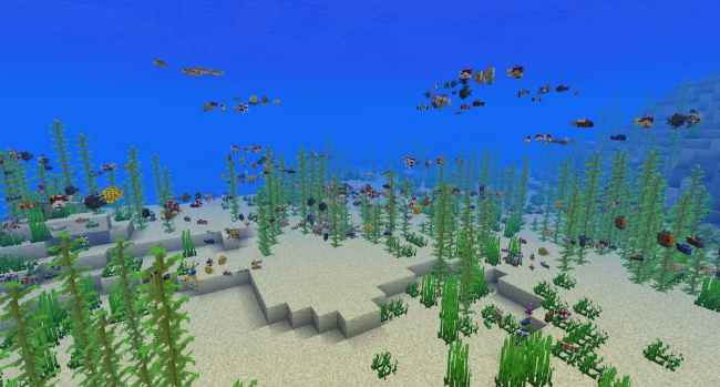 How to Get Tropical Fish in Minecraft Bedrock - Touch, Tap, Play