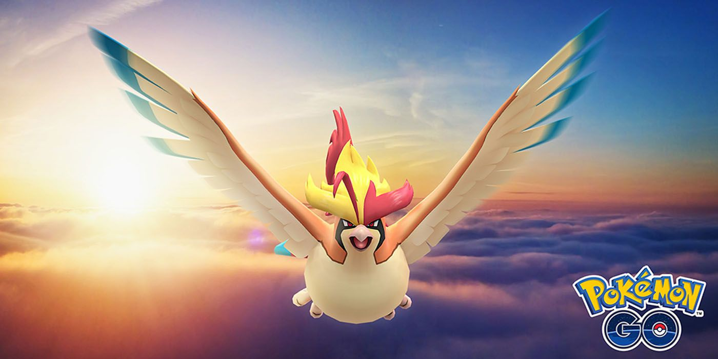 What Does Pidgeot Evolve into in Pokémon GO - Touch, Tap, Play