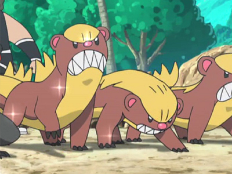 How to Evolve Yungoos in Pokémon GO - Touch, Tap, Play