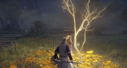 How to Get Bewitching Branches in Elden Ring - Touch, Tap, Play
