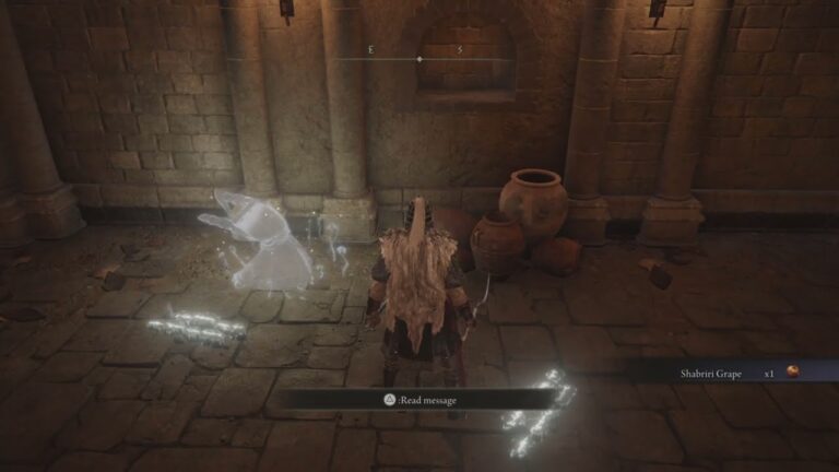 What Does the Shabriri Grape Do in Elden Ring on Steam Deck - Touch ...