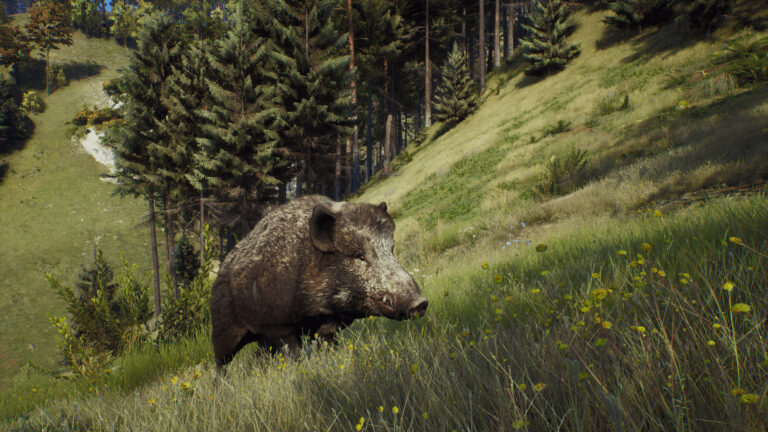 Way of The Hunter Tracking Guide: Tips and Tricks - Touch, Tap, Play