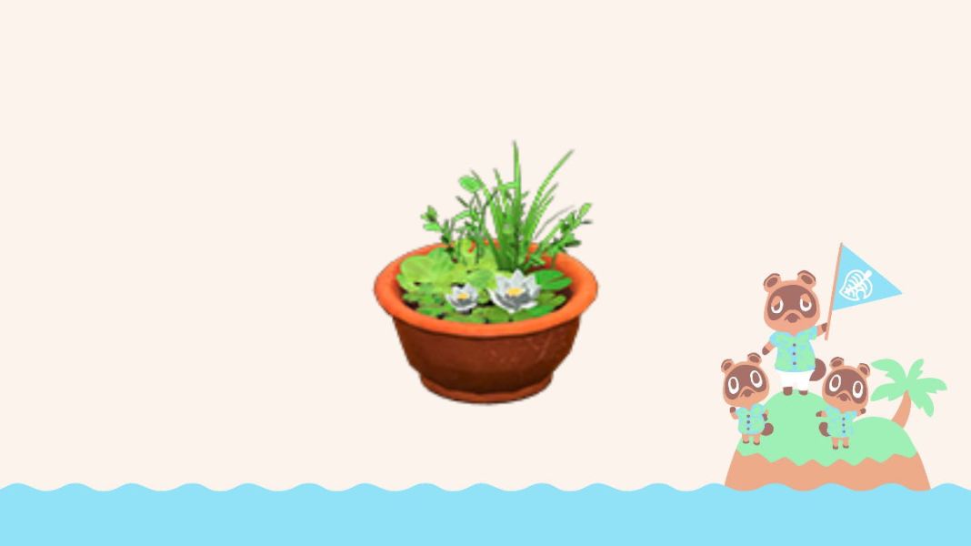How to get the Floating Biotope Planter in ACNH - Touch, Tap, Play