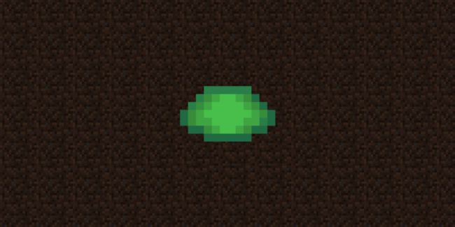 How to get Scutes in Minecraft - Touch, Tap, Play