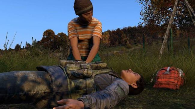 DayZ: How To Play Single Player - Touch, Tap, Play