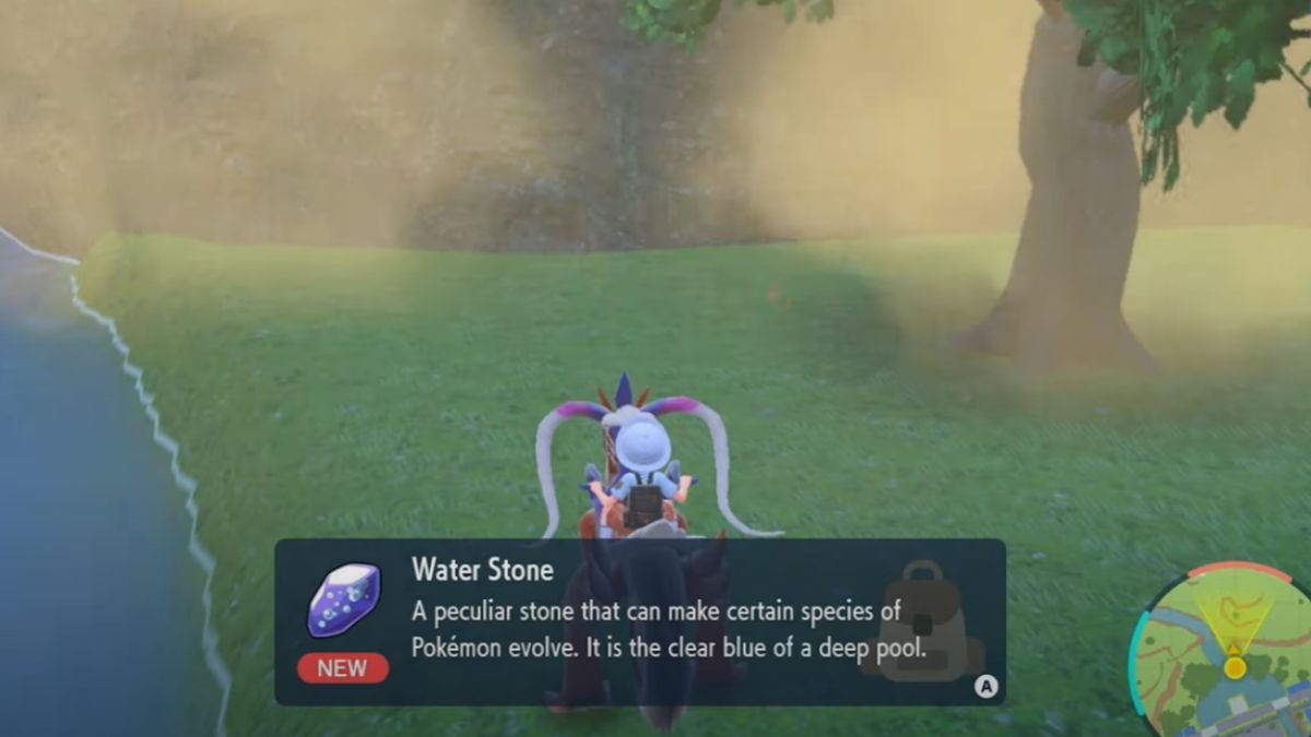 Where to Get Water Stones in Pokémon Scarlet and Violet - Touch, Tap, Play