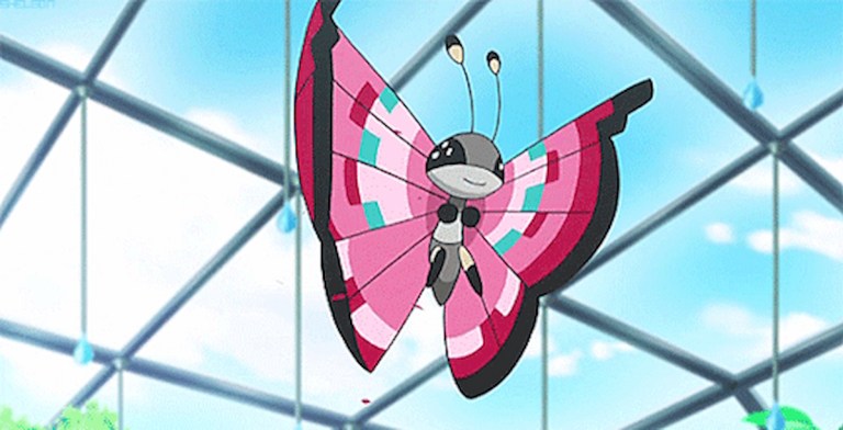 How Many Vivillon Forms Are In Pokemon Scarlet & Violet? Answered ...