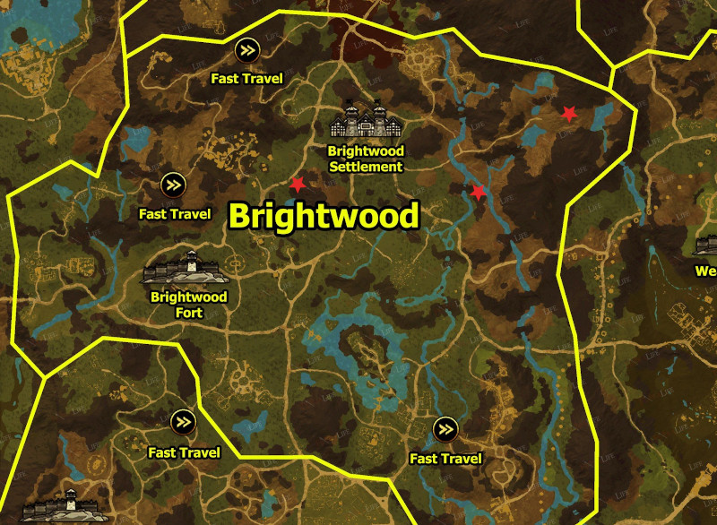 Where To Find Grizzly Bear In New World - Touch, Tap, Play