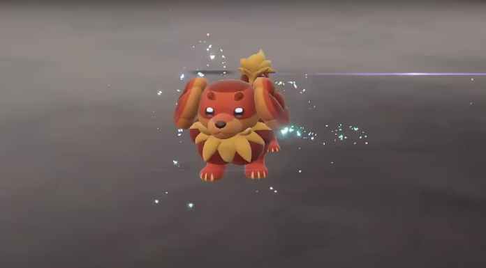 Best Dachsbun Moveset for Pokémon Scarlet and Violet - Touch, Tap, Play