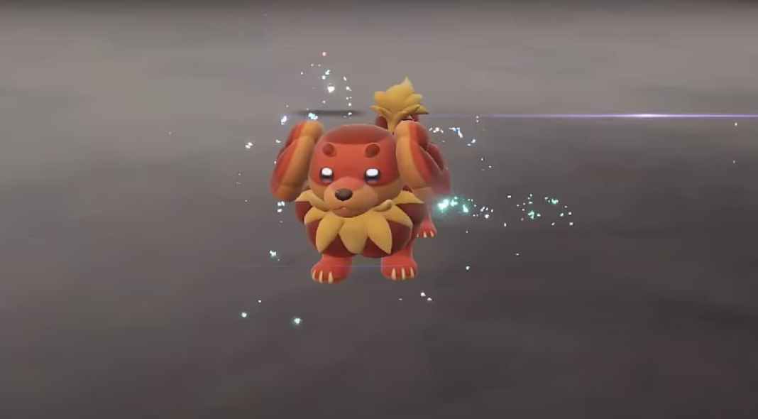 Best Dachsbun Moveset for Pokémon Scarlet and Violet - Touch, Tap, Play