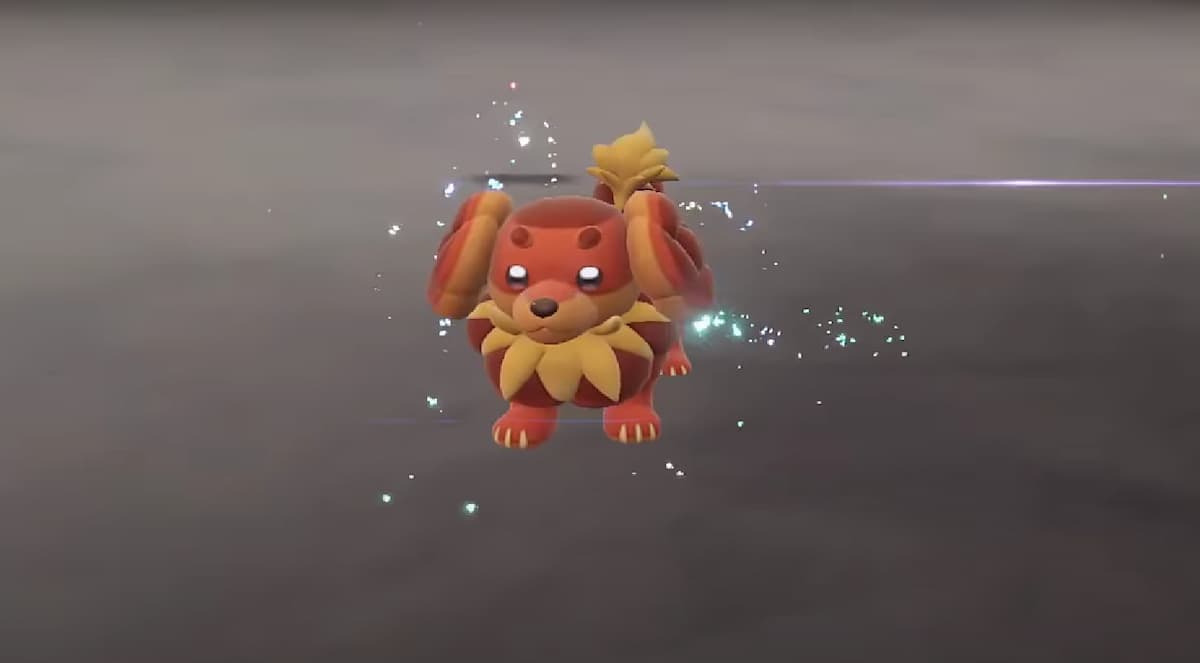 Best Dachsbun Moveset for Pokémon Scarlet and Violet - Touch, Tap, Play