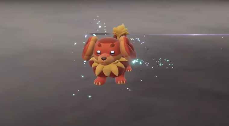 Best Dachsbun Moveset for Pokémon Scarlet and Violet - Touch, Tap, Play
