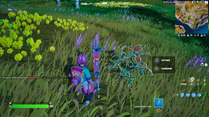 Where To Find Slap Berries in Fortnite - Touch, Tap, Play