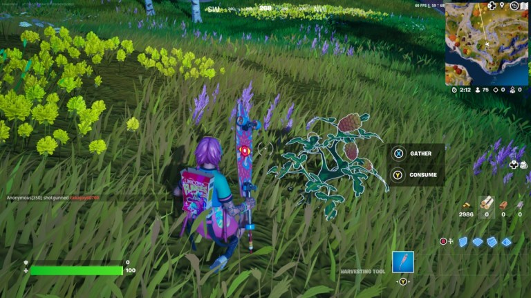 Where To Find Slap Berries in Fortnite - Touch, Tap, Play