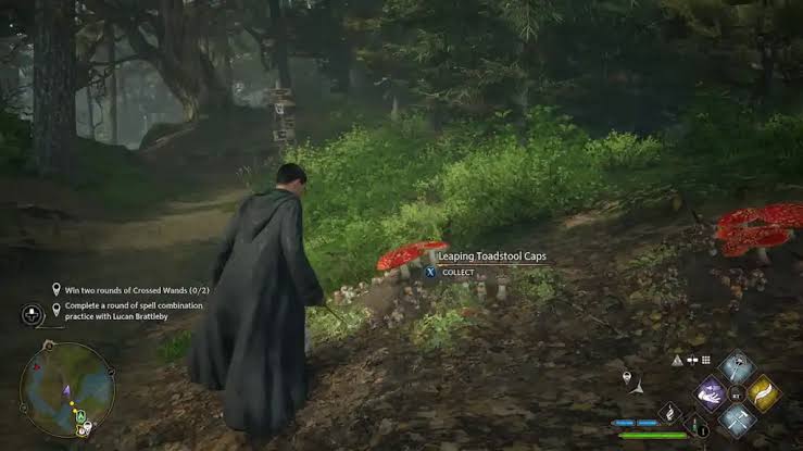 Where to Find Leaping Toadstool Caps in Hogwarts Legacy - Guide - Touch, Tap, Play