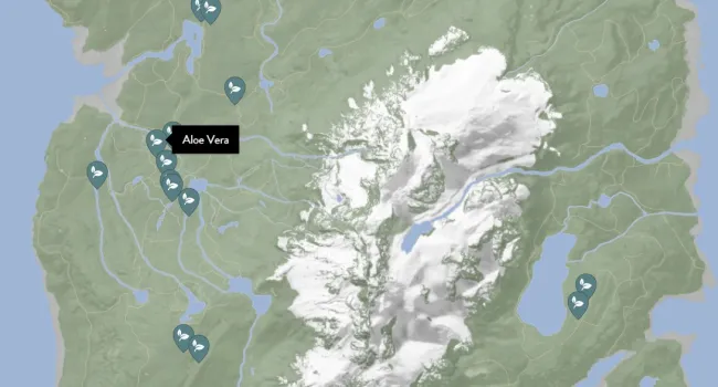 Where to Find Aloe Vera in Sons of the Forest - Touch, Tap, Play