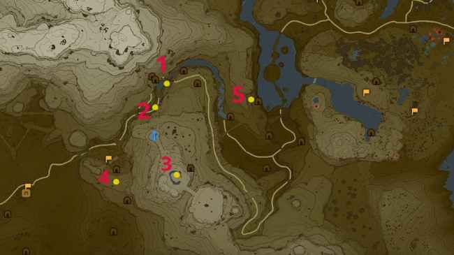 Tears of the Kingdom: All Yiga Frog Statue Offering Locations in TotK ...