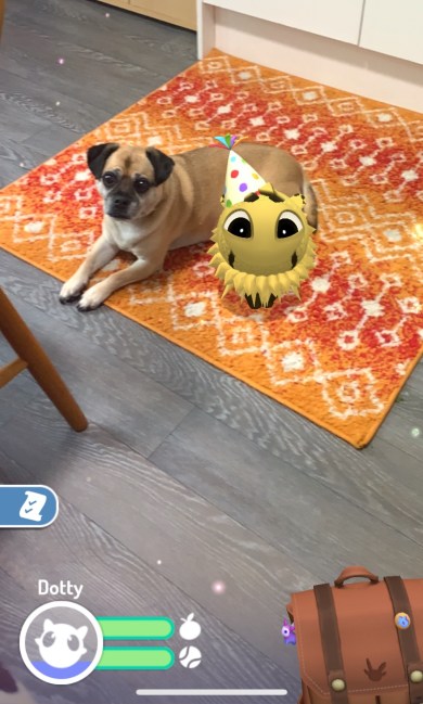 How to Take Care of Your Pet in Peridot - Touch, Tap, Play