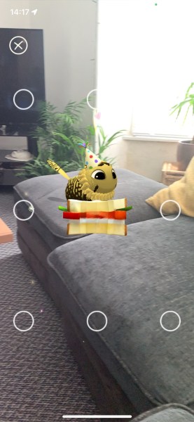 How to Train Your Pet in Peridot - Touch, Tap, Play