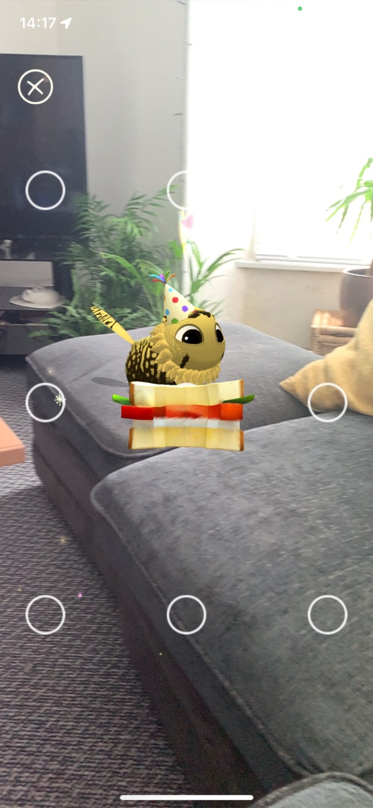 How to Train Your Pet in Peridot - Touch, Tap, Play