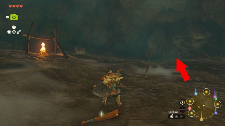 Tears of the Kingdom: How to get Crenel Peak Cave Frog in TotK - Touch ...